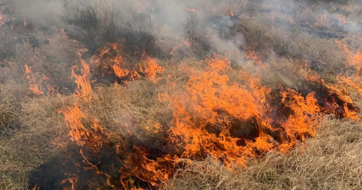 RFS urges residents to reconsider their risk this Bush Fire Danger ...