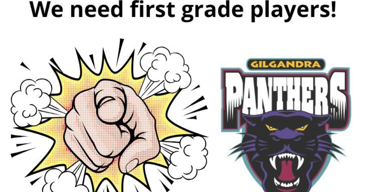 Gilgandra Panthers need you! | The Gilgandra Weekly | Local News ...